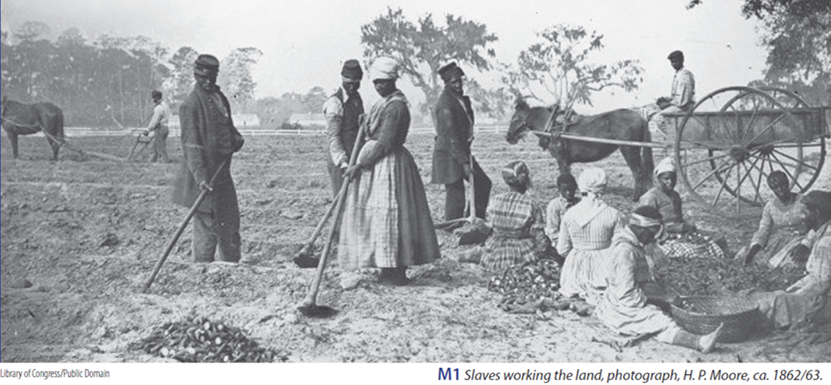 Slavery and Abolition in the USA | H5 Exercise